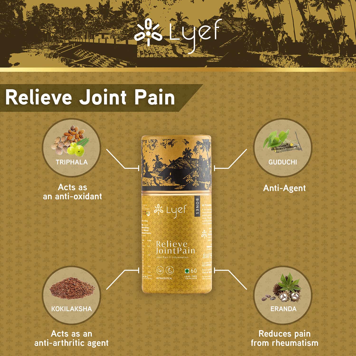 Buy LYEF RELIEVE JOINT PAIN-AYURVEDA SUPPLEMENT-RELIEVES PAIN ...