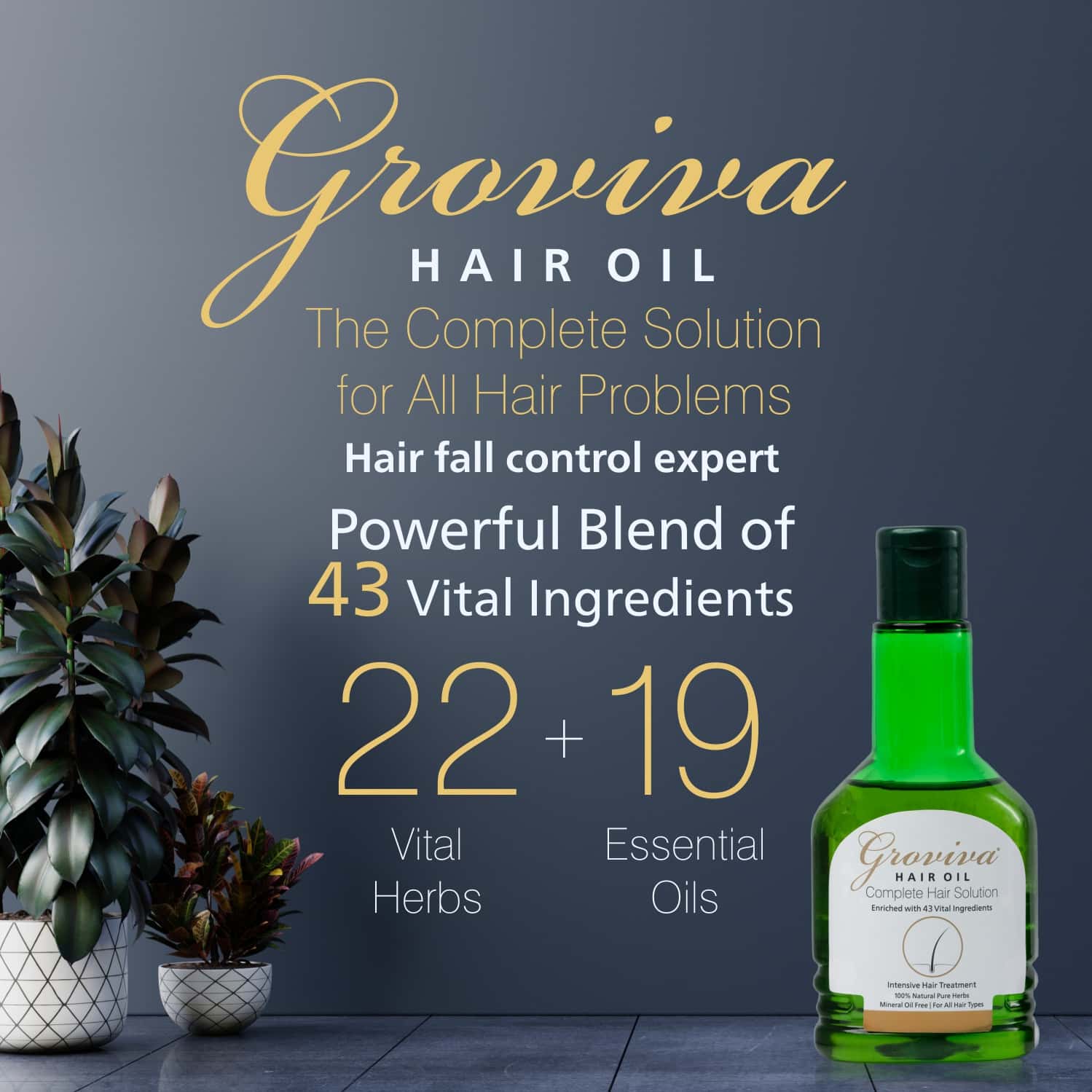 Buy GROVIVA COMBO PACK SET | SOLUTION FOR ALL HAIR PROBLEMS KIT (PACK ...