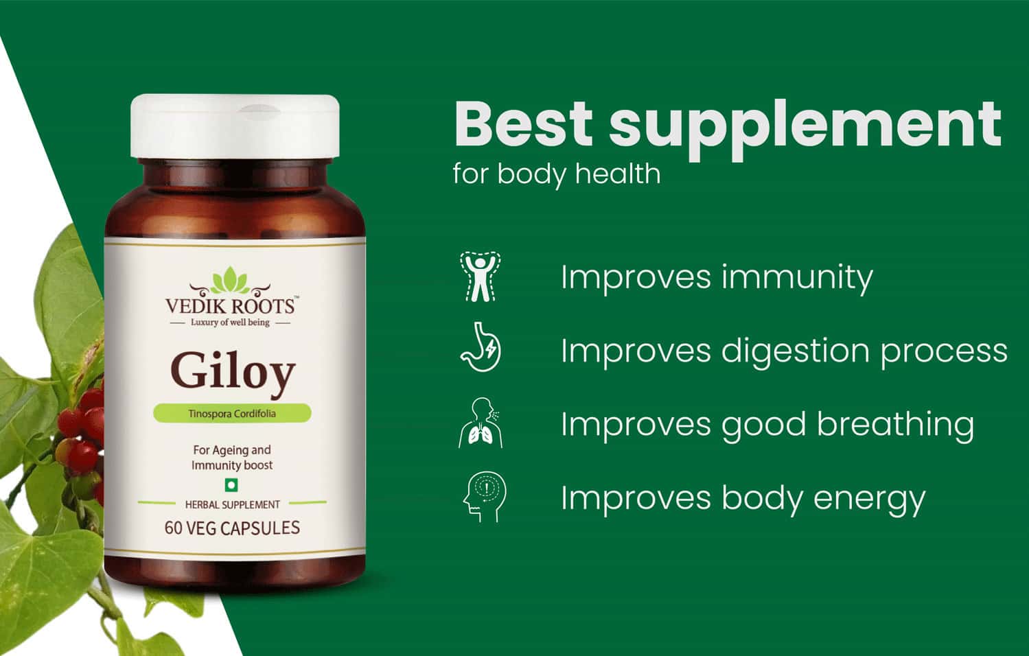 Buy VEDIKROOTS GILOY 60 CAPSULES 450 MG 100% ORGANIC | TINOSPORA ...