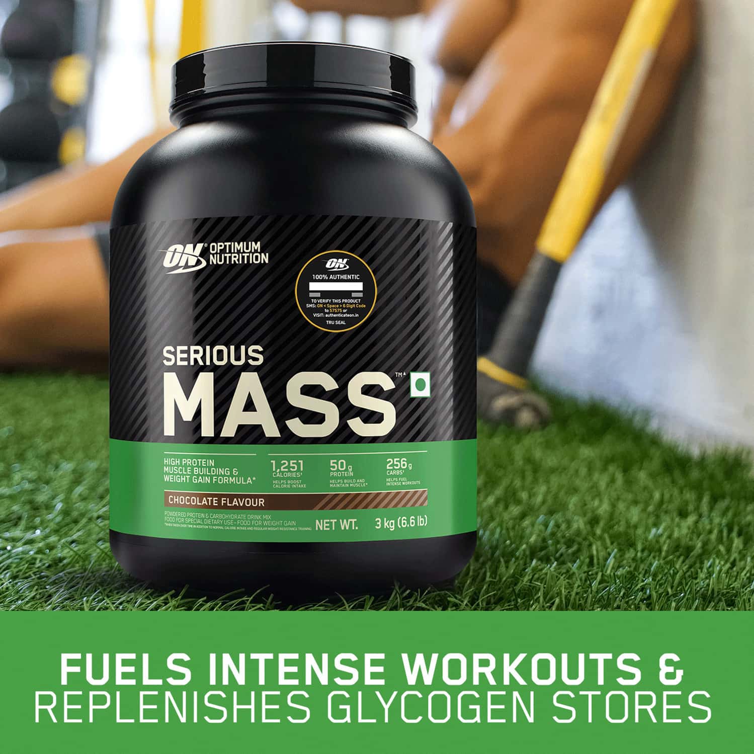 Buy OPTIMUM NUTRITION (ON) SERIOUS MASS HIGH PROTEIN HIGH CALORIE ...