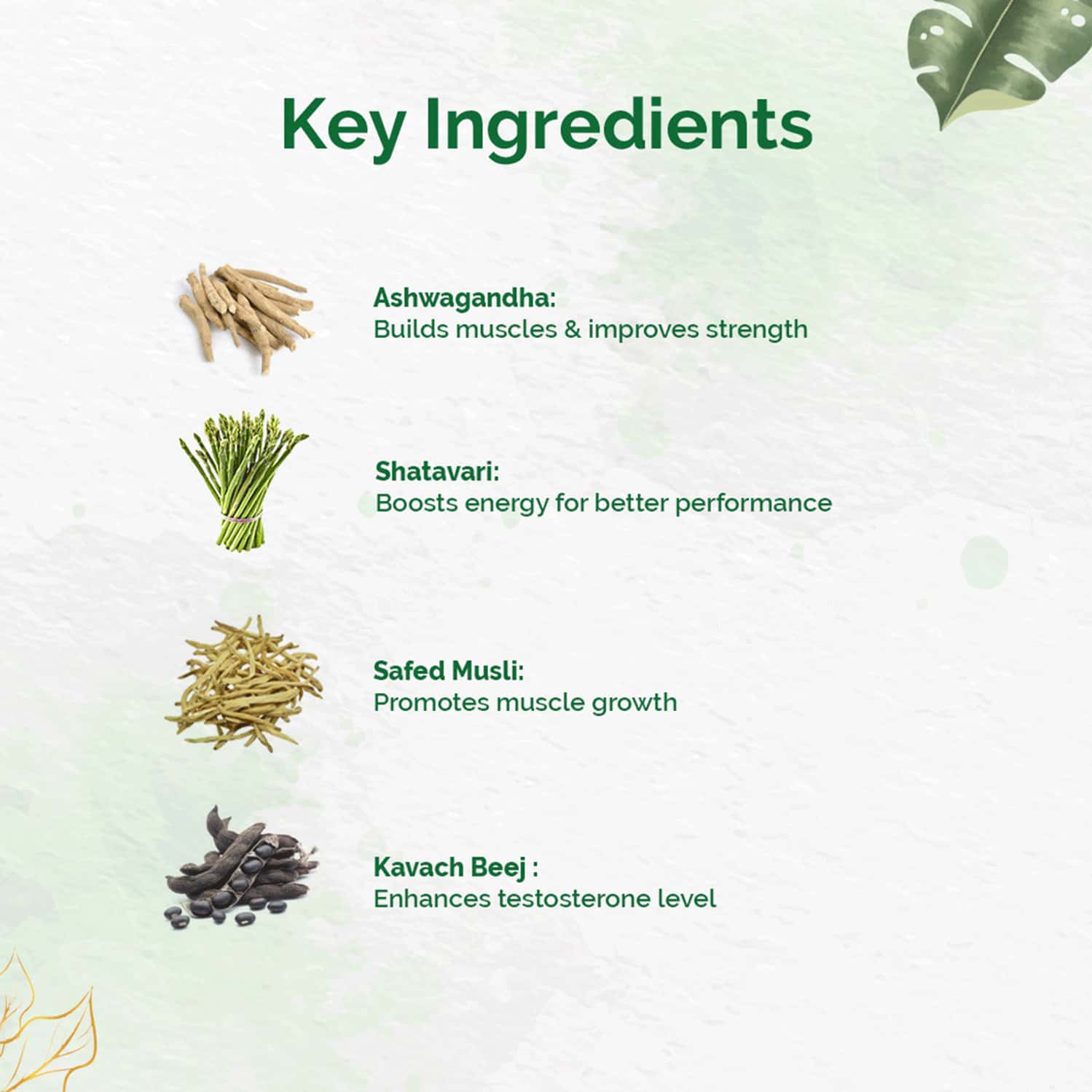 Buy DR. VAIDYA'S NEW HERBOBUILD - 30 CAPSULES - PACK OF 4 Online & Get ...