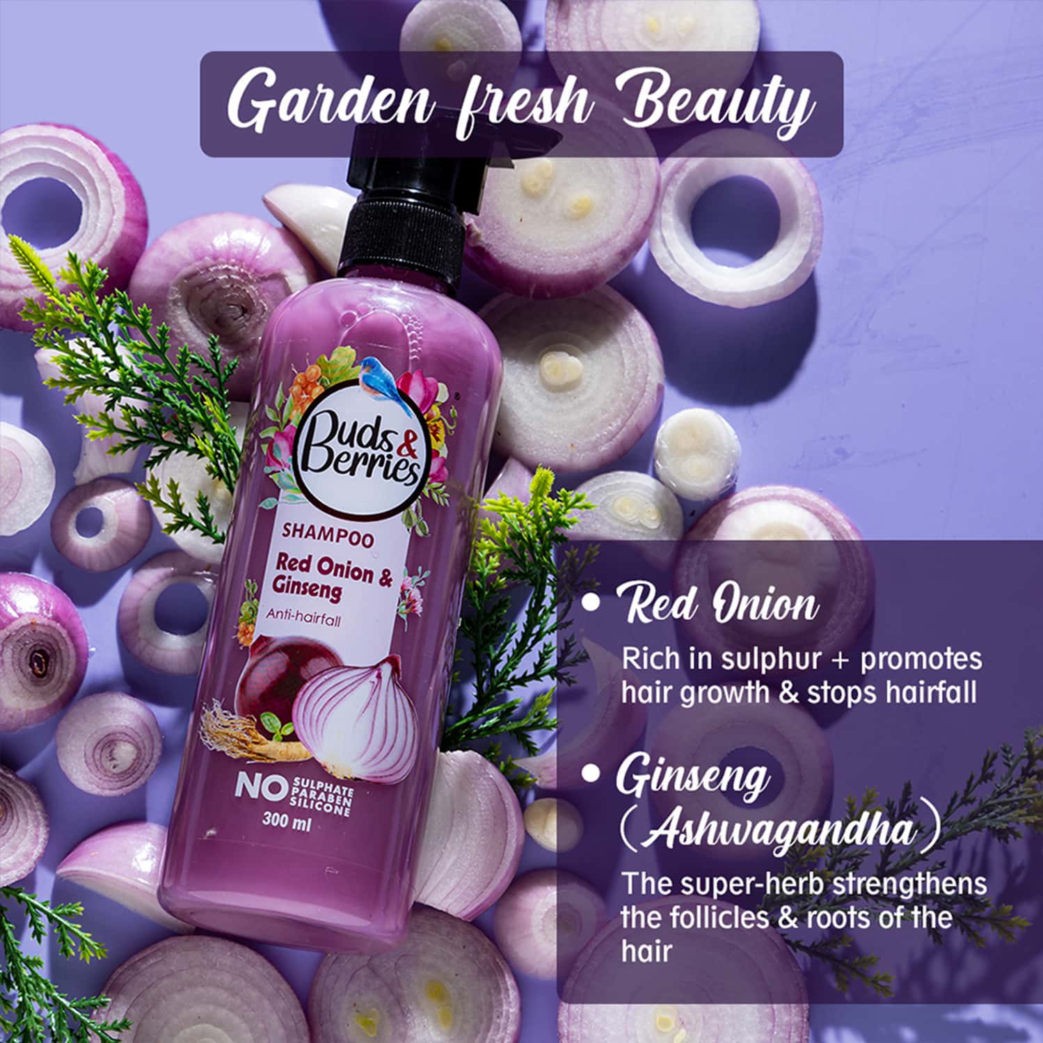Buy BUDS & BERRIES ANTI-HAIRFALL SHAMPOO WITH RED ONION AND GINSENG ...