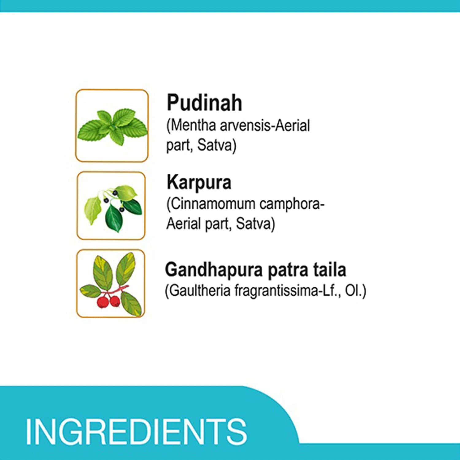 Buy AMRUTANJAN RELIEF COUG&COLD NASAL INHALER 1N Online & Get Upto 60% ...