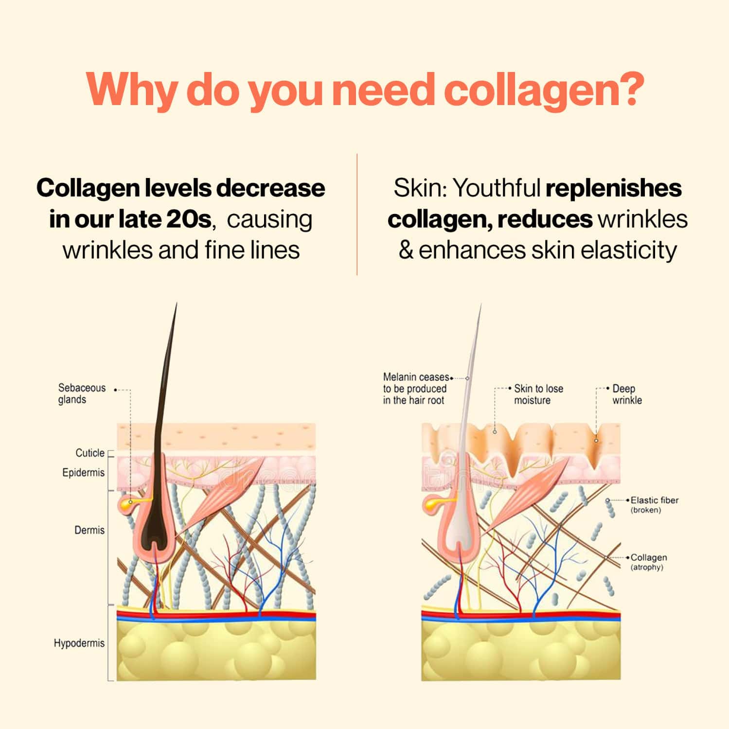 Buy ROSE WATER & COLLAGEN COMBO PACK | ROSE WATER HYDRATING & MARINE ...
