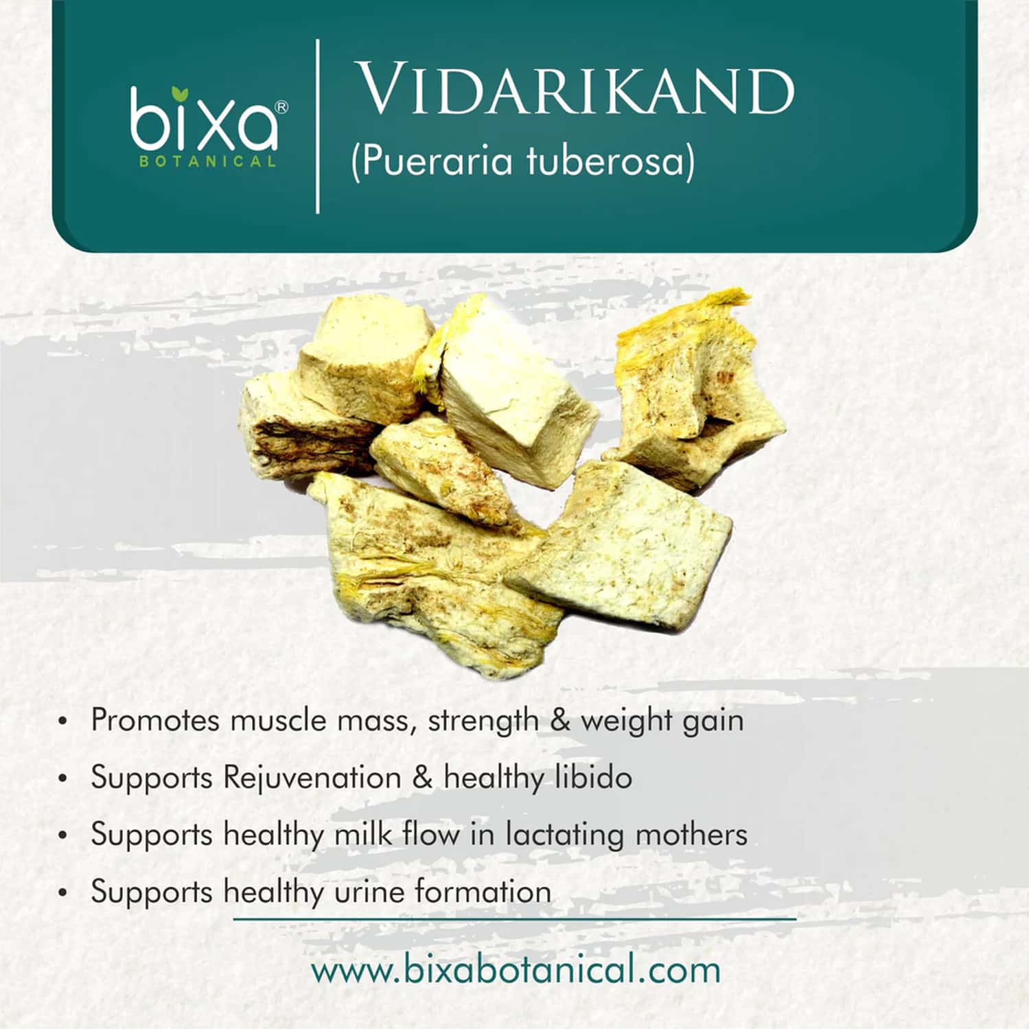 Buy BIXA BOTANICAL VIDARIKAND POWDER-PROMOTES MUSCLE MASS, STRENGTH ...