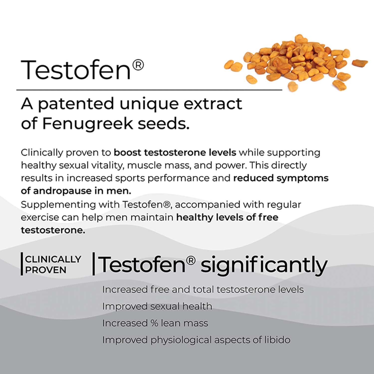 Buy WELLBEING NUTRITION MELTS TESTO POWER TESTOSTERONE BOOSTER FOR ...