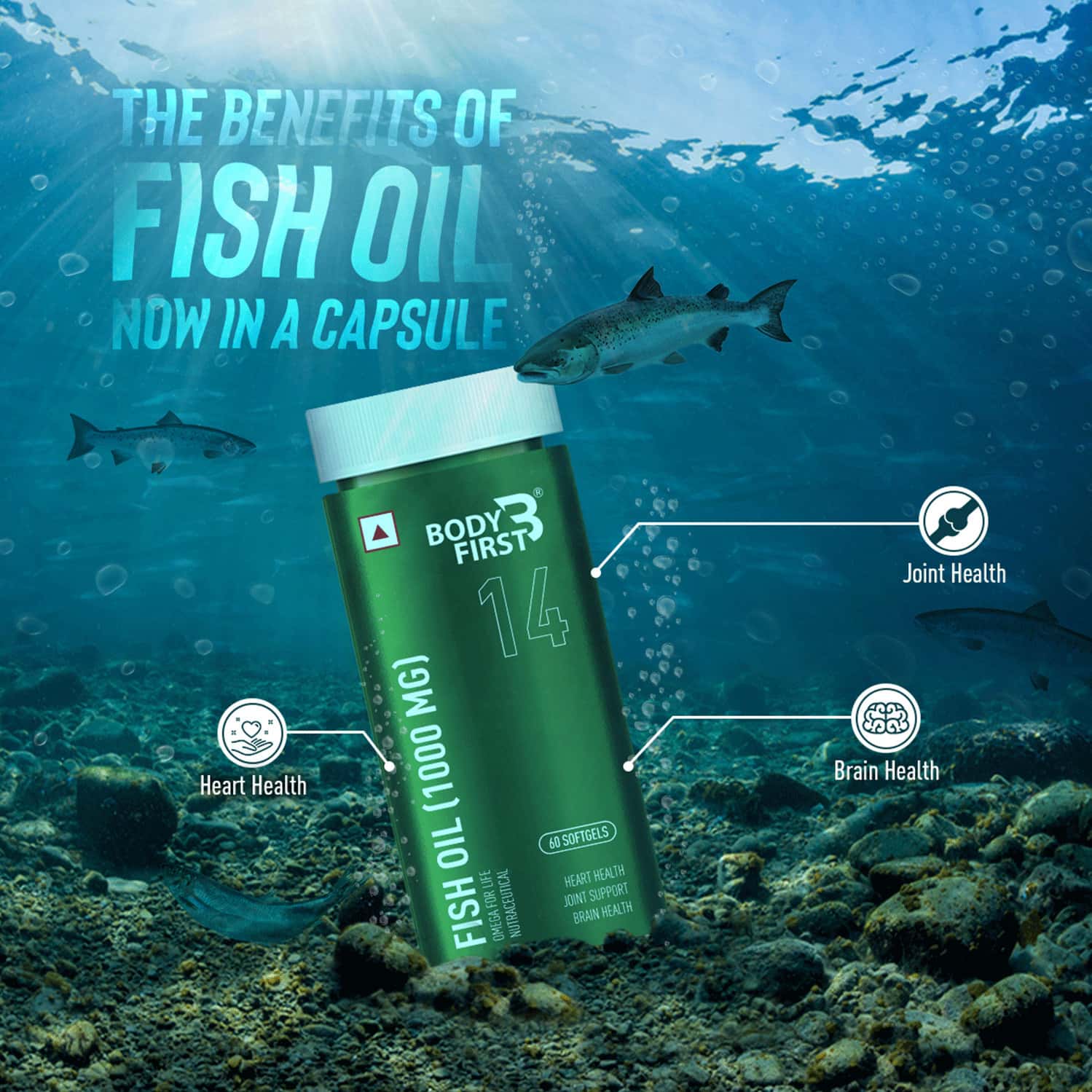 Buy BODYFIRST FISH OIL 1000MG (30 SOFTGELS) Online & Get Upto 60% OFF ...