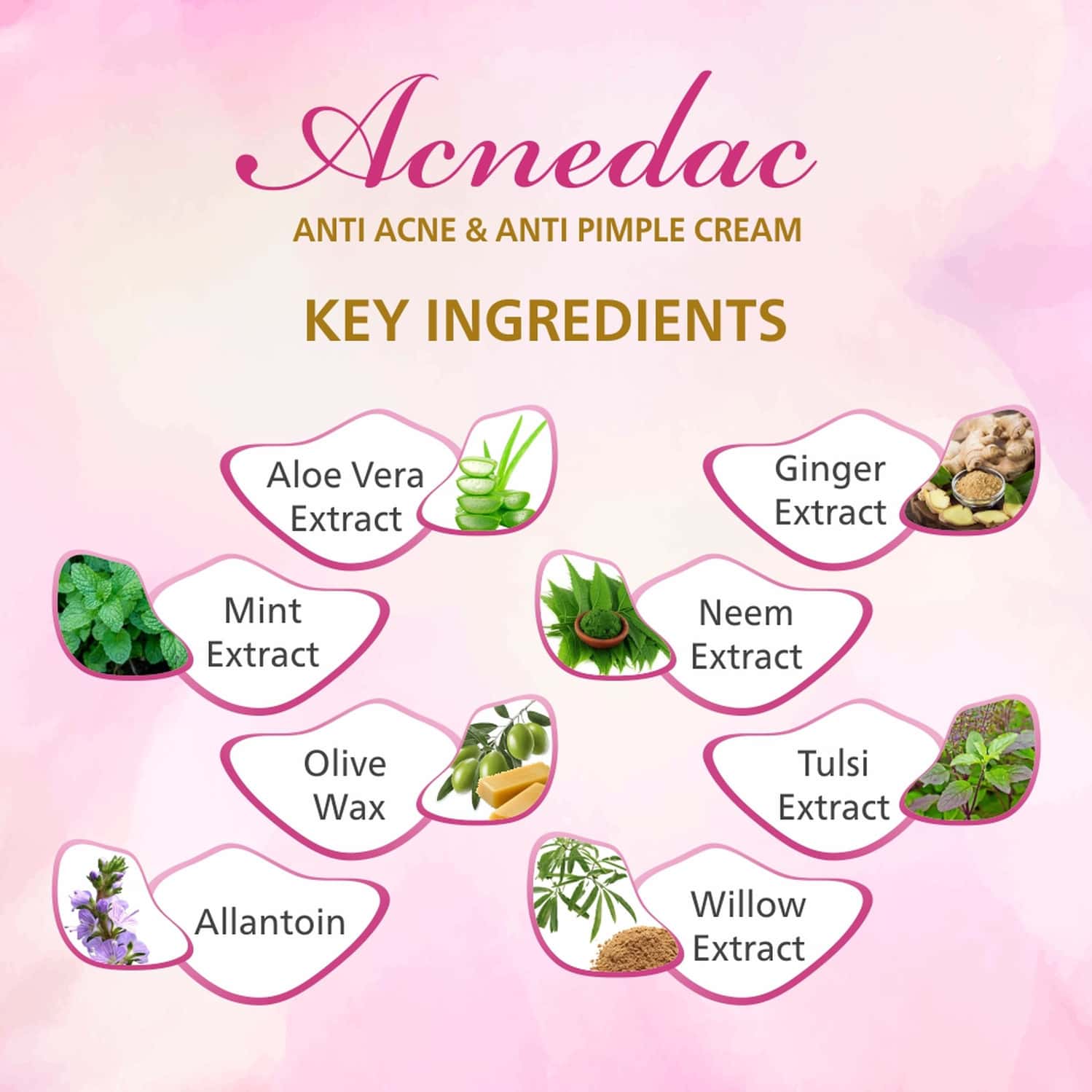 Buy ACNEDAC ANTI ACNE & ANTI PIMPLE SOAP (75 GM - PACK OF 4) Online ...