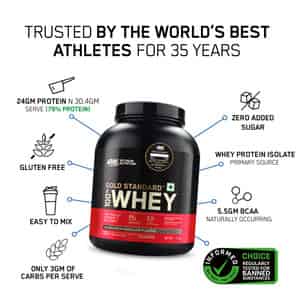 Buy OPTIMUM NUTRITION (ON) GOLD STANDARD 100% WHEY PROTEIN DOUBLE RICH ...