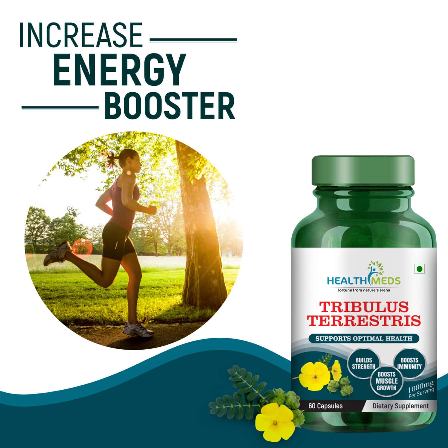 Buy HEALTHMEDS TRIBULUS TERRESTRIS WITH GOKSHURA EXTRACT | FOR MEN ...