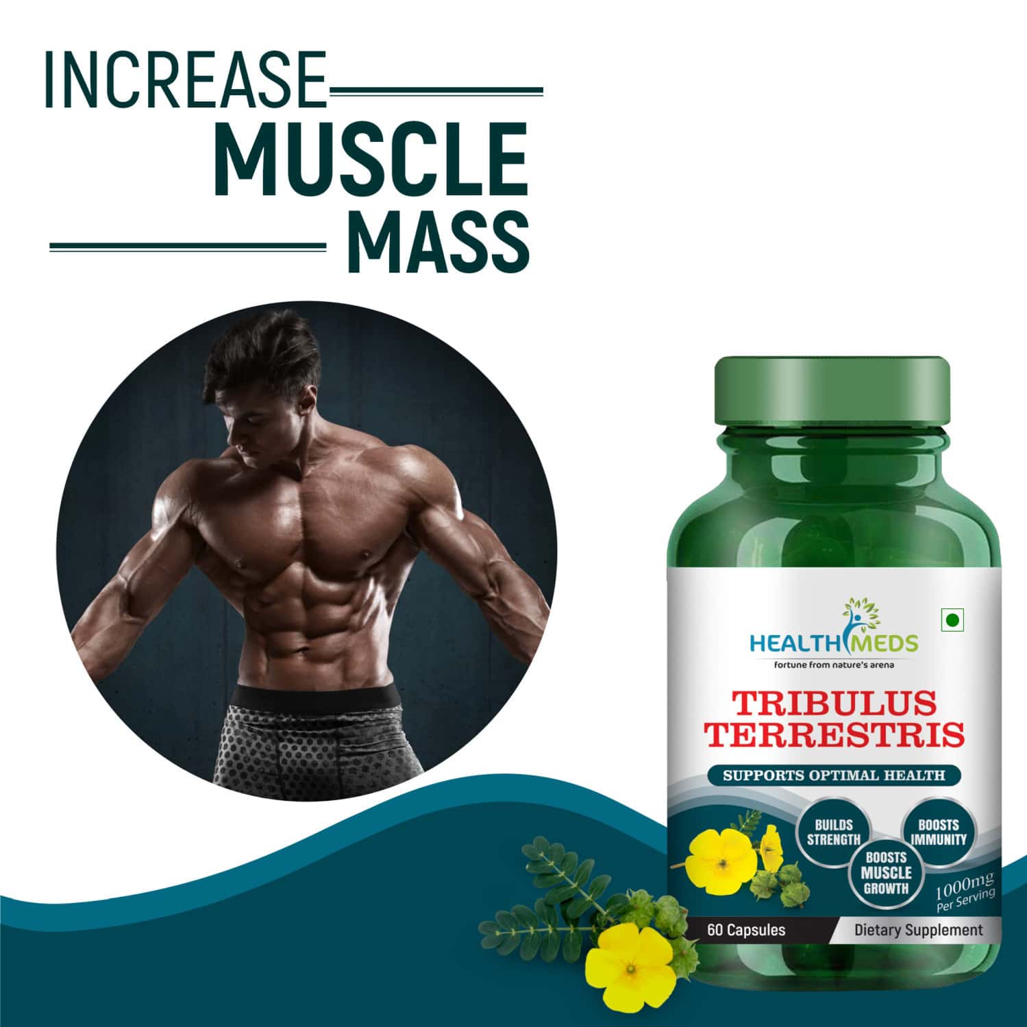 Buy HEALTHMEDS TRIBULUS TERRESTRIS WITH GOKSHURA EXTRACT | FOR MEN ...