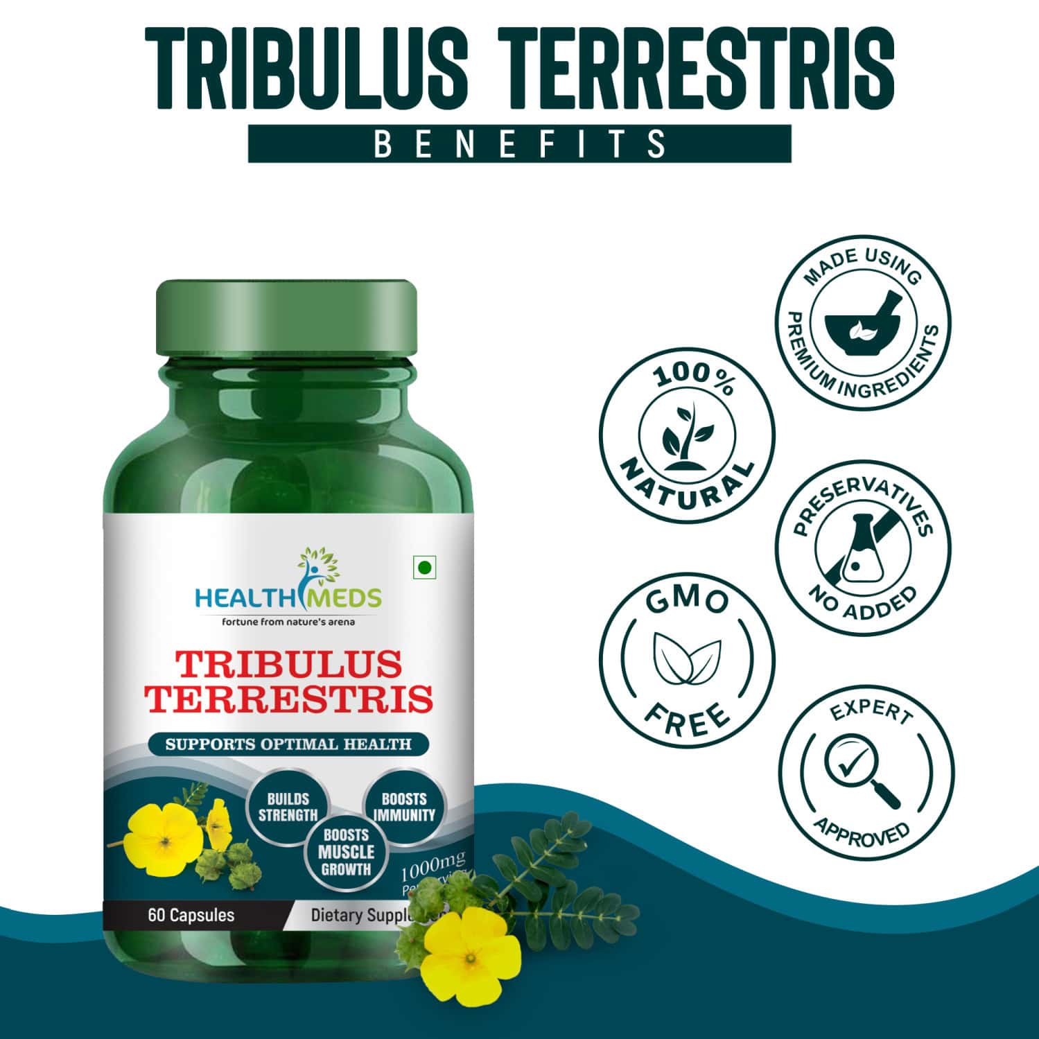 Buy HEALTHMEDS TRIBULUS TERRESTRIS WITH GOKSHURA EXTRACT | FOR MEN ...
