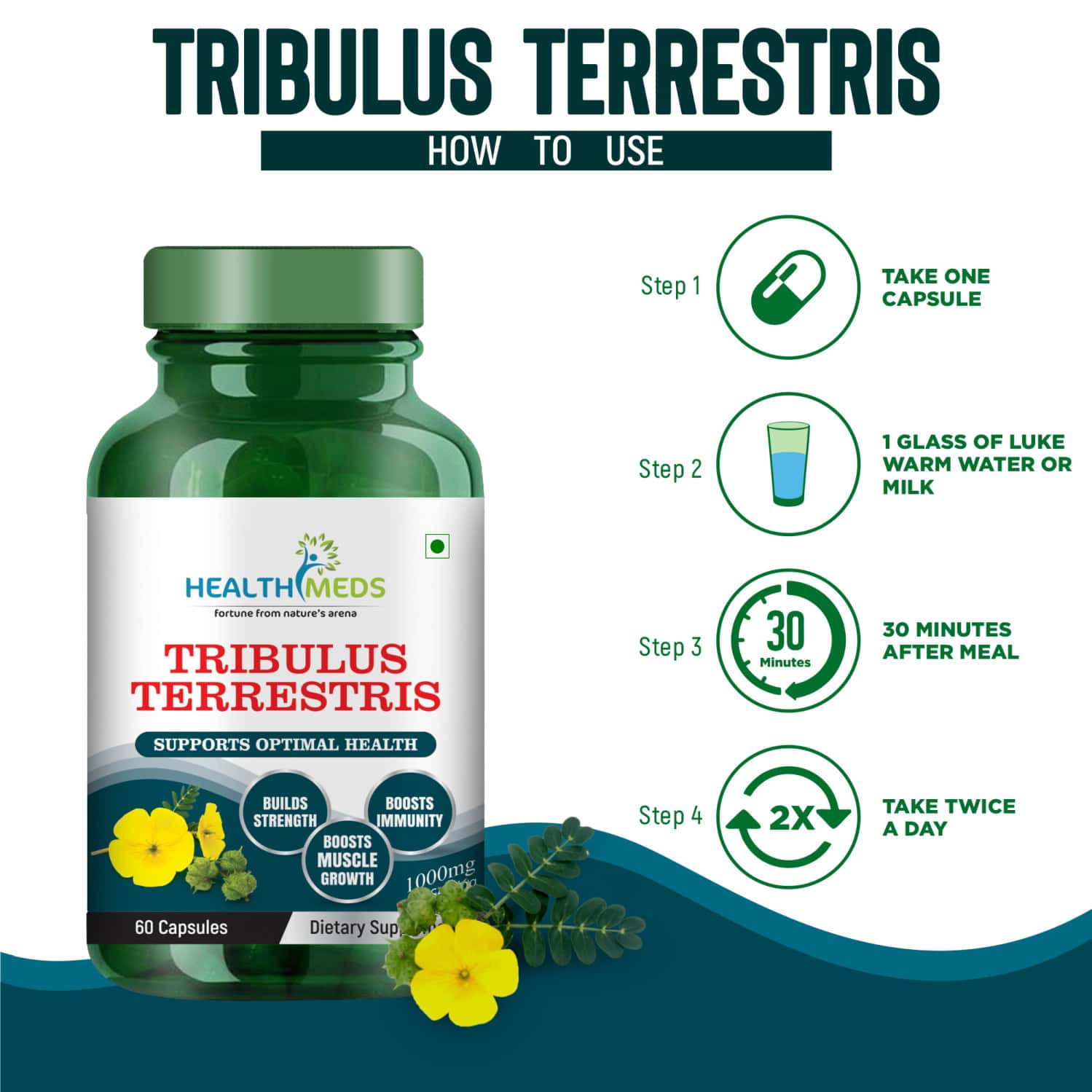 Buy HEALTHMEDS TRIBULUS TERRESTRIS WITH GOKSHURA EXTRACT | FOR MEN ...