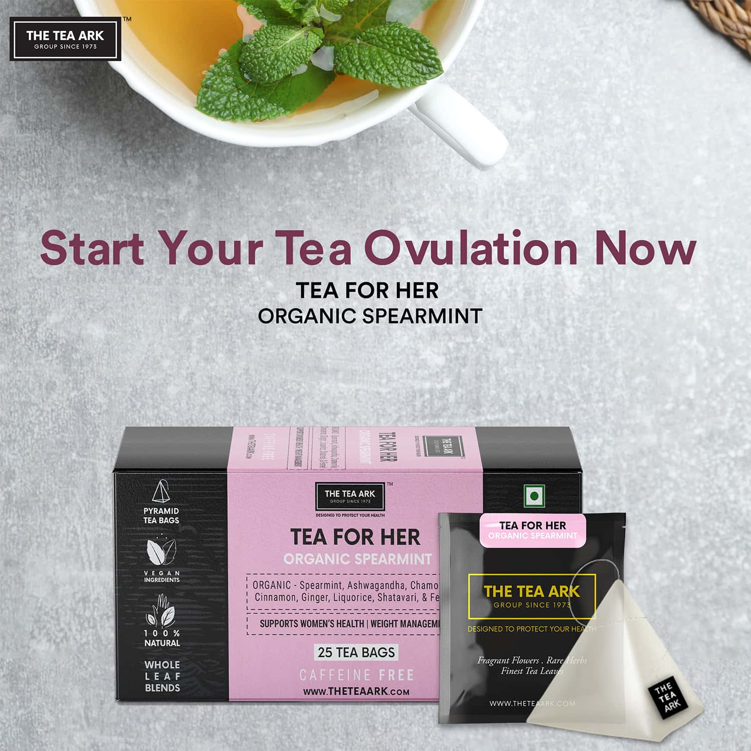 Buy THE TEA ARK ORGANIC SPEARMINT TEA FOR PCOS PCOD FOR WOMEN, 25 TEA ...