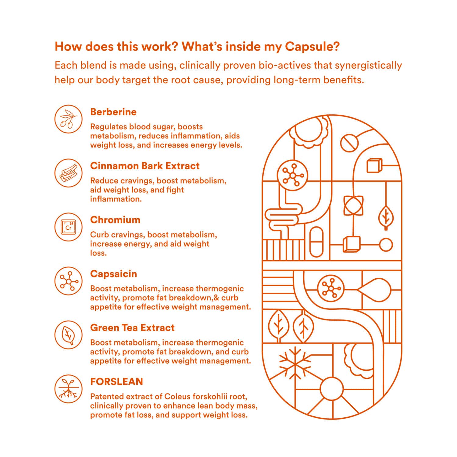 Buy ORIGINS NUTRA LEAN METABOLISM BOOSTER CAPSULES | BOOSTS OVERALL ...