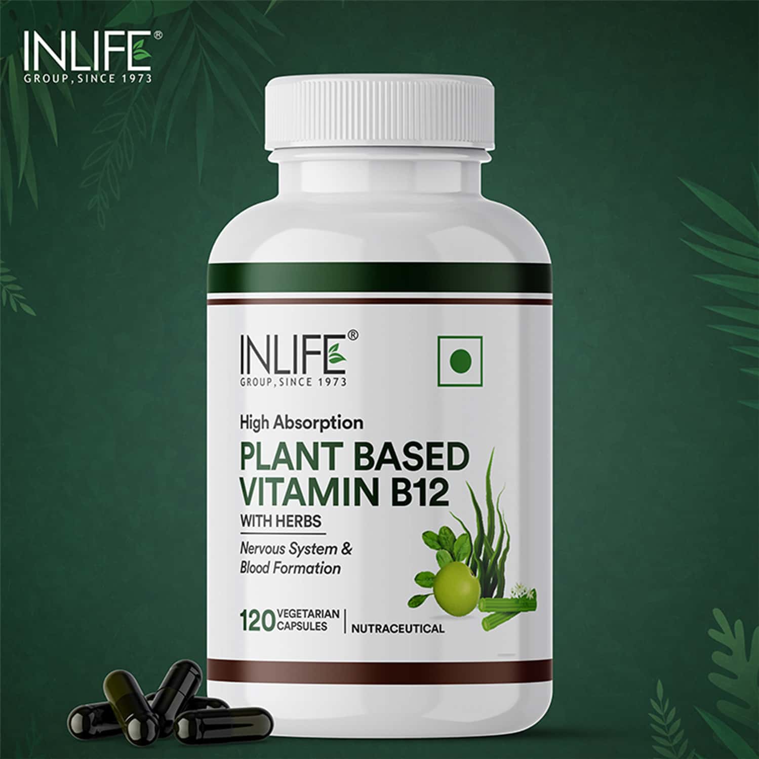 Buy INLIFE PLANT BASED VITAMIN B12 SUPPLEMENTS FOR MEN & WOMEN - 120 ...