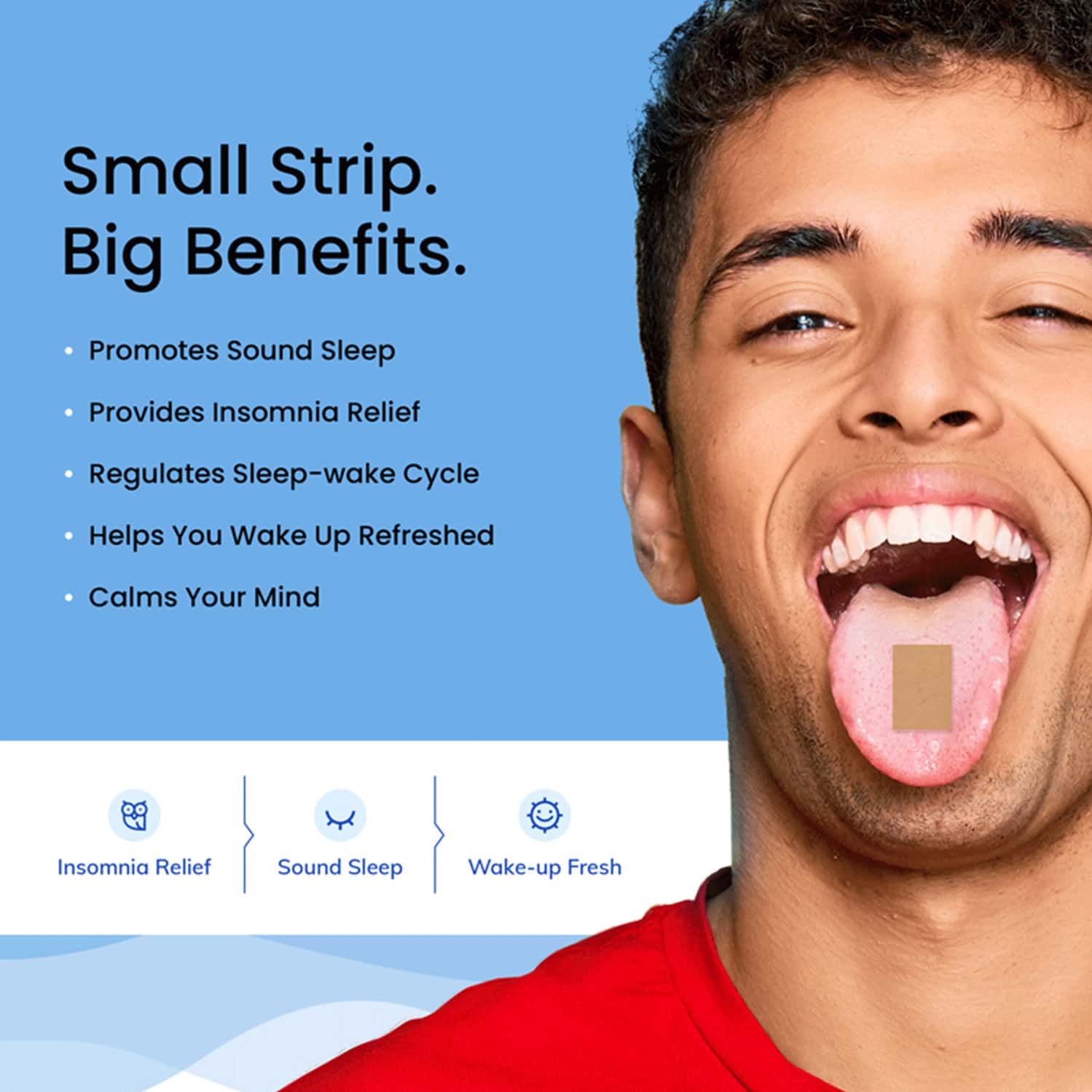 Buy WELLBEING NUTRITION MELTS RESTFUL SLEEP-MELATONIN 10MG FOR NATURAL ...