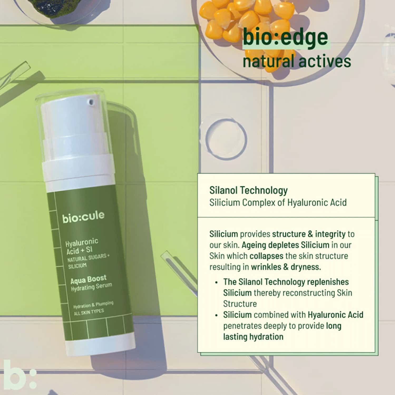 Buy BIOCULE AQUA BOOST HYDRATING FACE SERUM, HYALURONIC ACID+PENTAVITIN ...