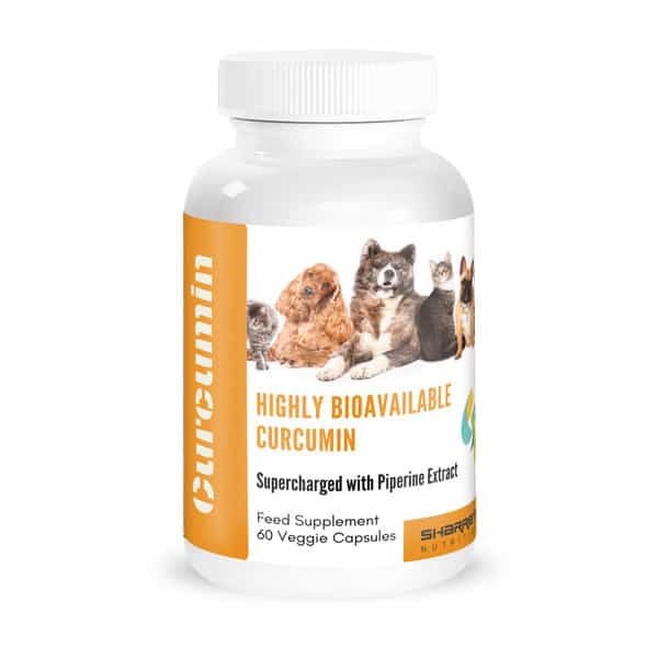Buy SHARRETS CURCUMIN TURMERIC SUPPLEMENT FOR DOGS AND CATS, 95% ...