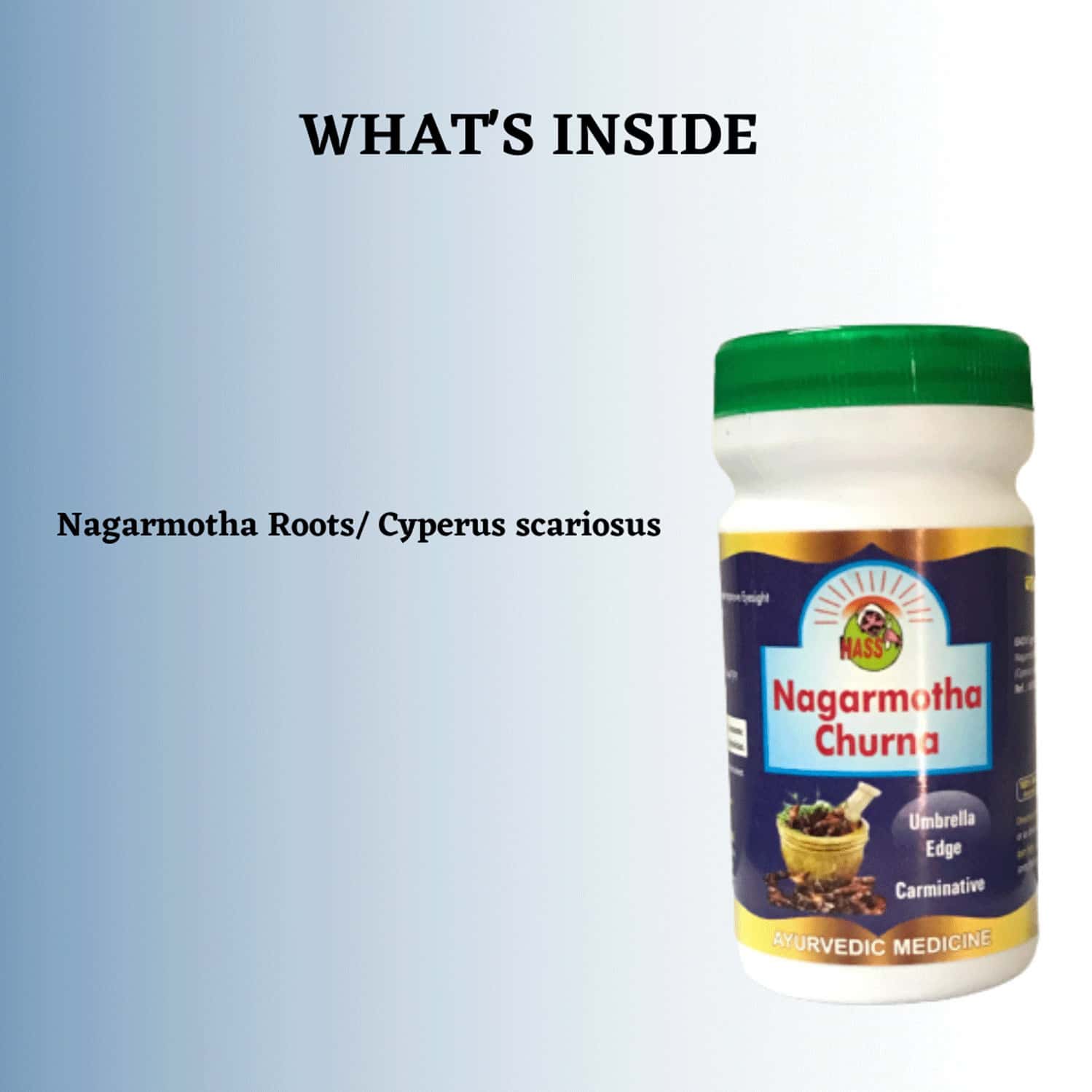 Buy HASS NAGARMOTHA CHURNA NAGARMOTHA ROOT POWDER FOR HAIR CARE FOR ...