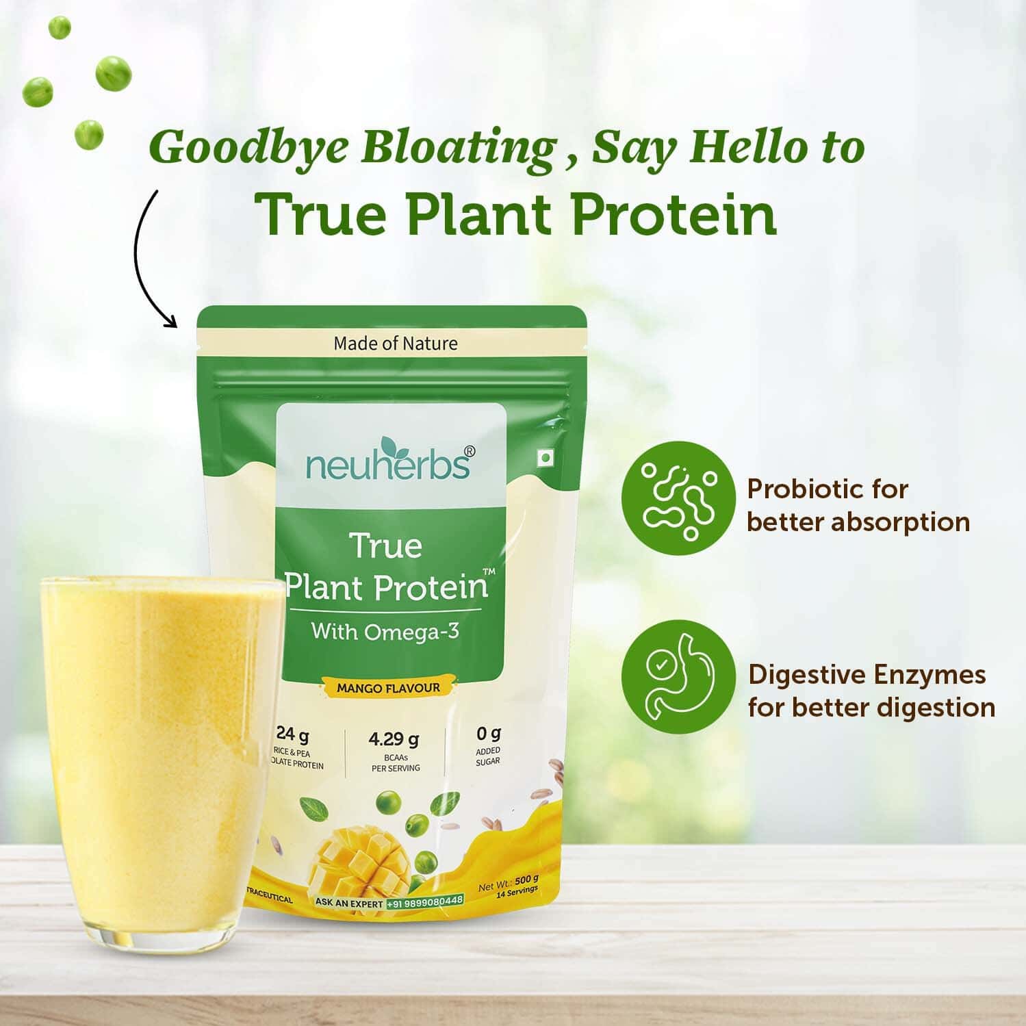 Buy NEUHERBS TRUE PLANT PROTEIN POWDER WITH OMEGA 3 (DIGESTIVE ENZYMES ...