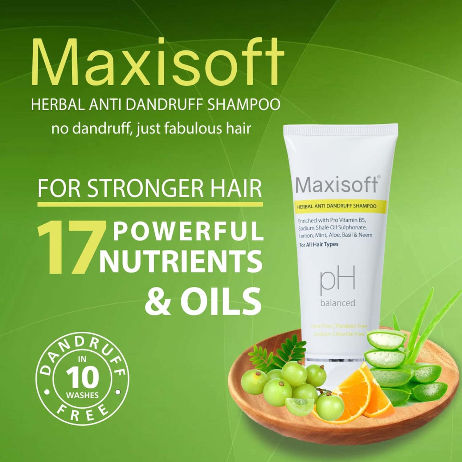 Buy MAXISOFT HERBAL ANTI-DANDRUFF SHAMPOO 100 ML | WITH AMLA & TEA TREE ...