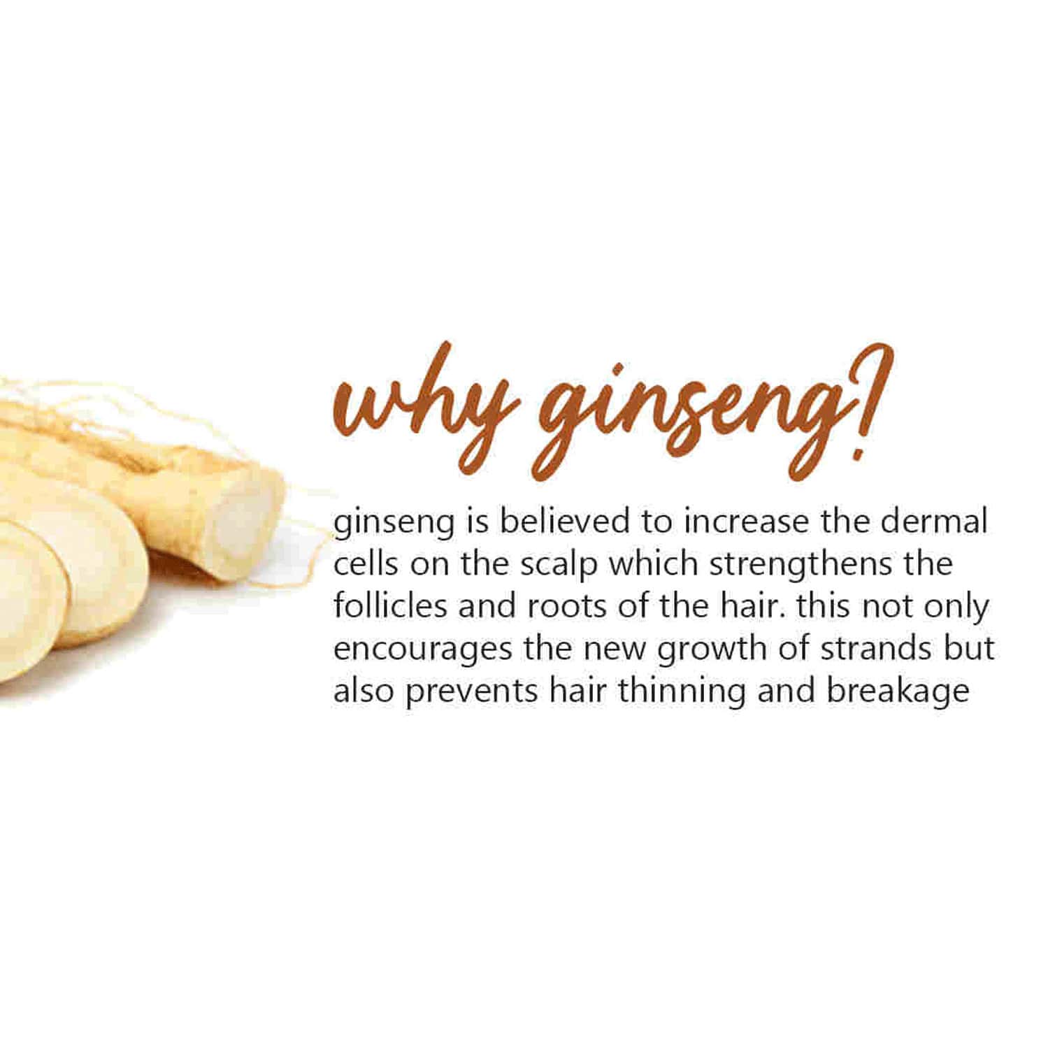 Buy PLUM GINSENG FALL RESCUE SCALP SERUM - 110 ML Online & Get Upto 60% ...