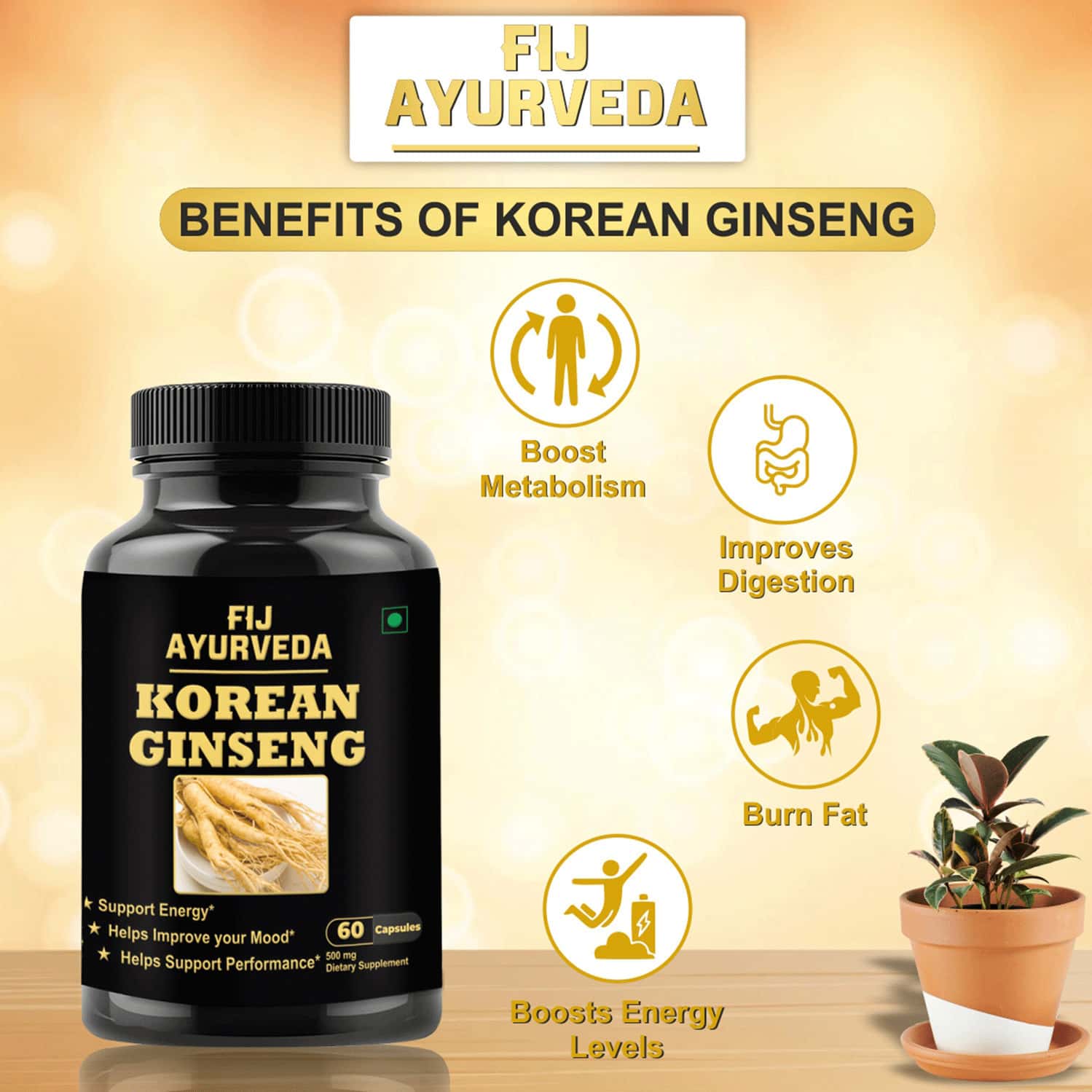Buy FIJ AYURVEDA KOREAN GINSENG ROOT EXTRACT DIETARY SUPPLEMENT - 60 ...