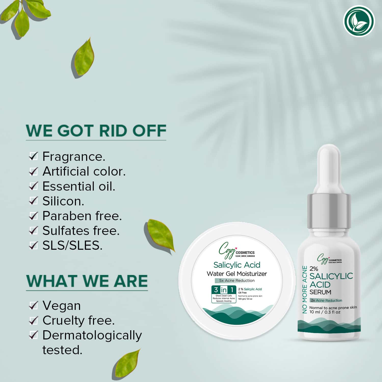 Buy CGG COSMETICS SALICYLIC ACID WATER GEL MOISTURIZER 100GM + FREE 2% ...