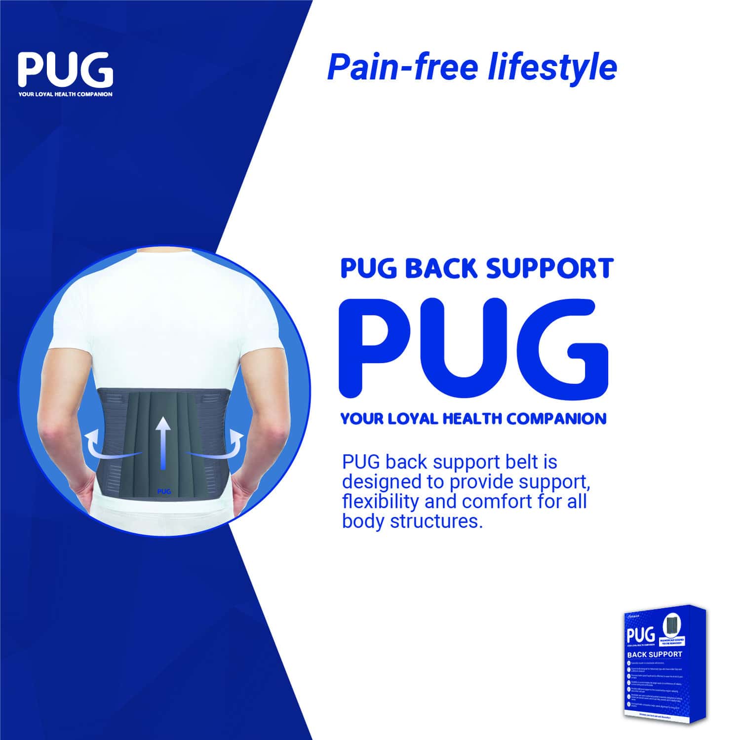 Order Pug Back Support Ergonomically Designed For The Indian Body ...