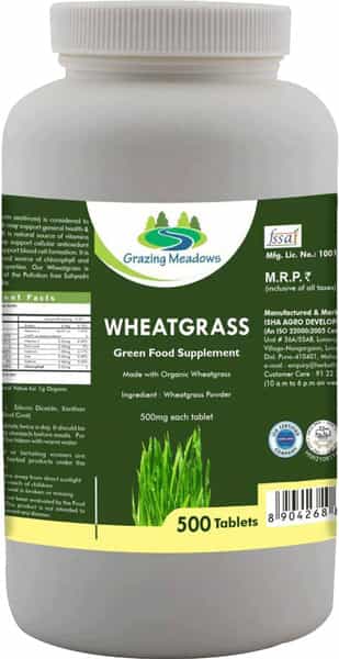 Buy GRAZING MEADOWS WHEATGRASS 500 MG - 500 TABLETS Online & Get Upto ...