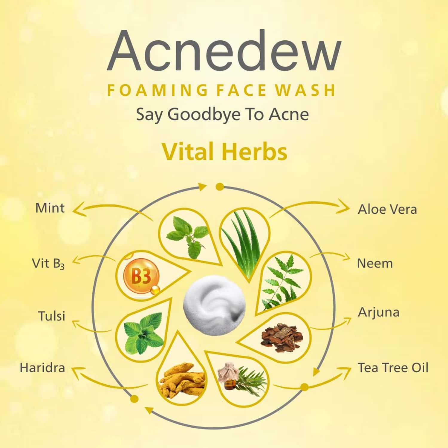 Buy ACNEDEW ANTIACNE & ANTIPIMPLE FOAMING FACE WASH 100 ML | SALICYLIC ...