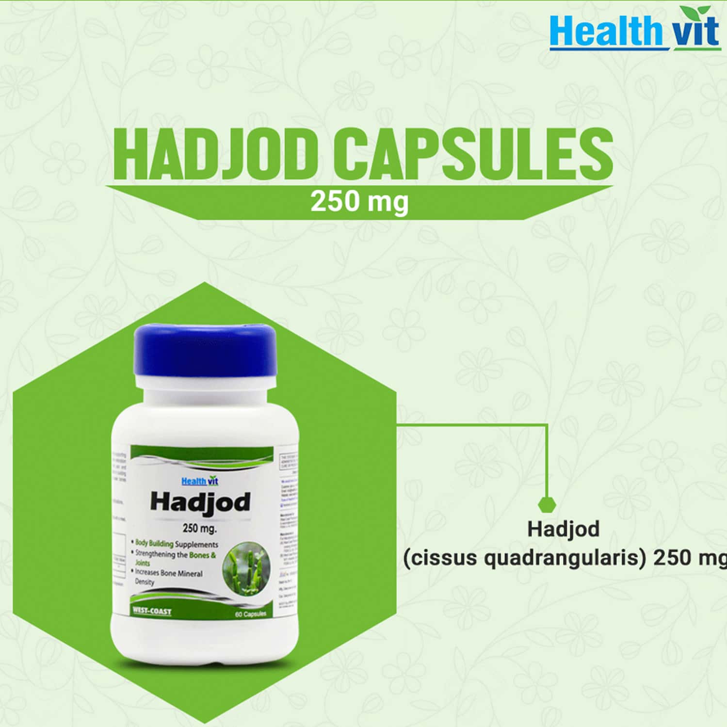 Buy HEALTHVIT HADJOD 250 MG - 60 CAPSULES Online & Get Upto 60% OFF at ...