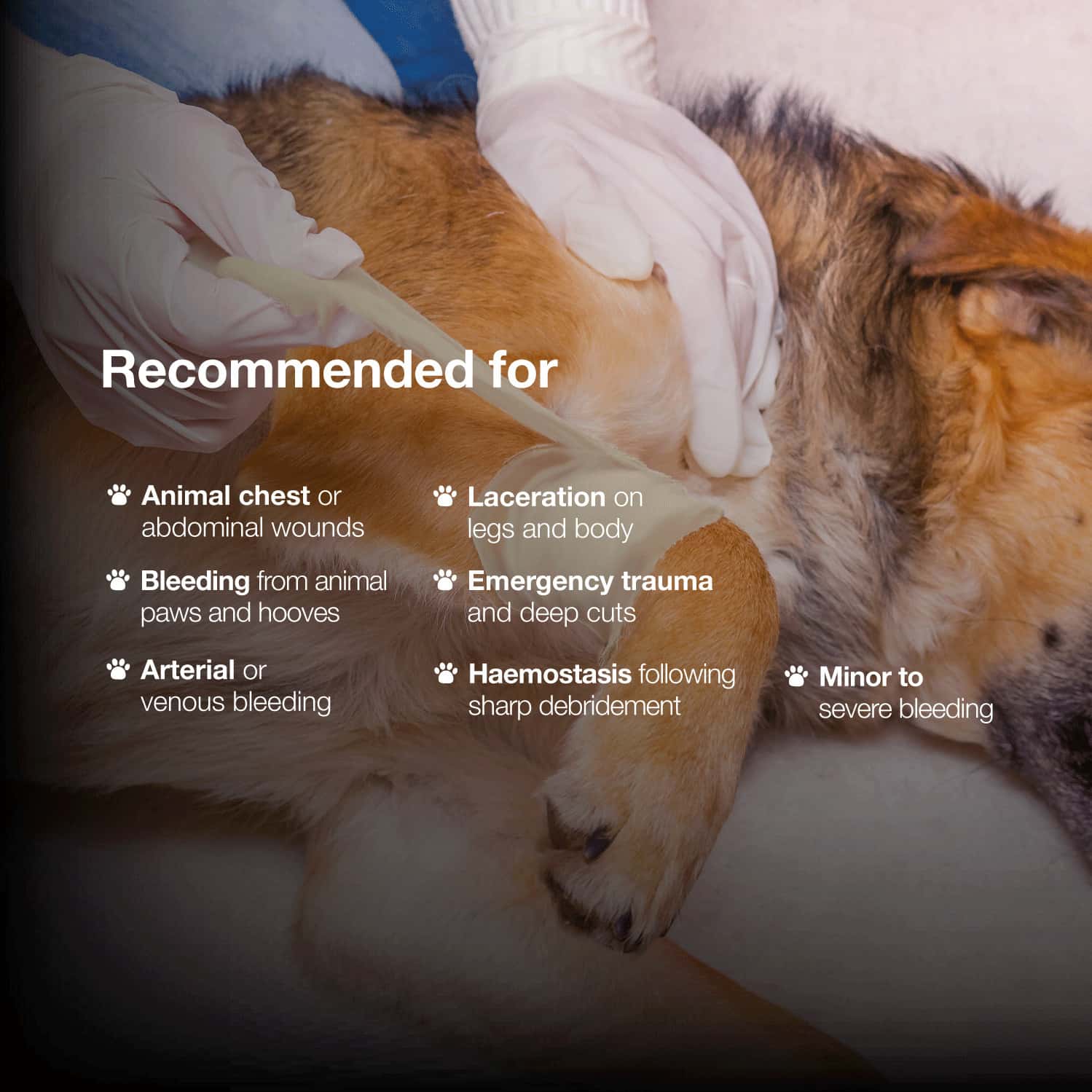 Buy SUREKLOT - STOP BLEEDING DRESSING VETERINARY - GAUZE (PACK OF 2 ...