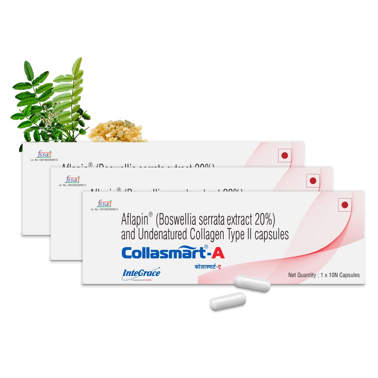 Buy COLLASMART A UC-II UNDENATURED TYPE 2 COLLAGEN(PACK OF 3)|20MG (3 X ...