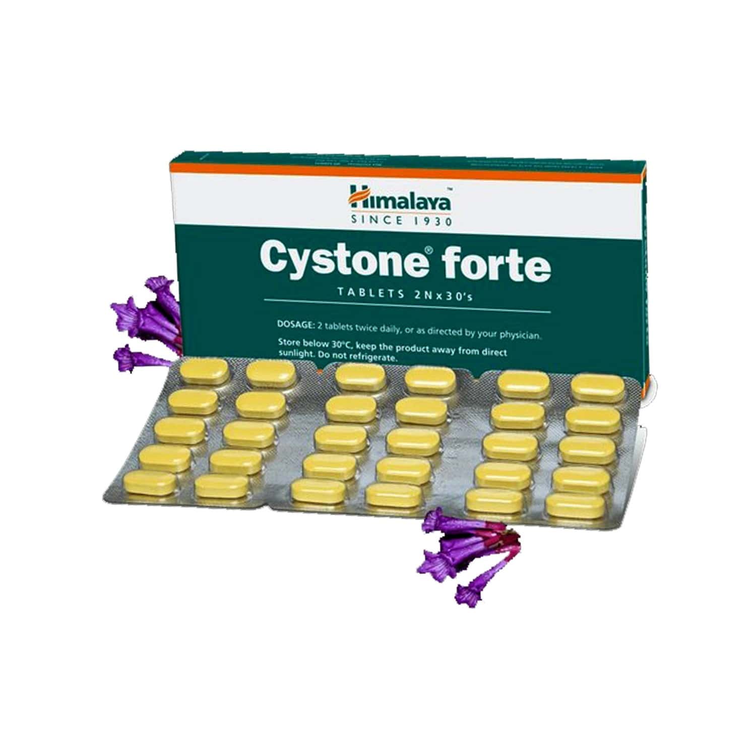 Buy Himalaya Cystone Forte Tablets - 30'S Online & Get Upto 60% OFF at ...