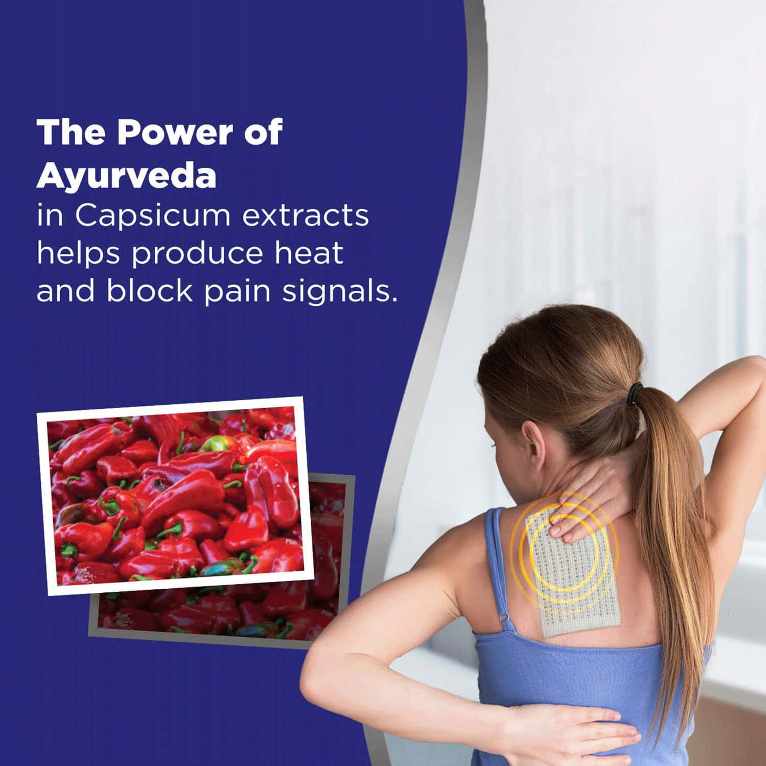 Buy HANSAPLAST LION HEAT PLASTER PACKET OF 4 Online & Get Upto 60% OFF ...