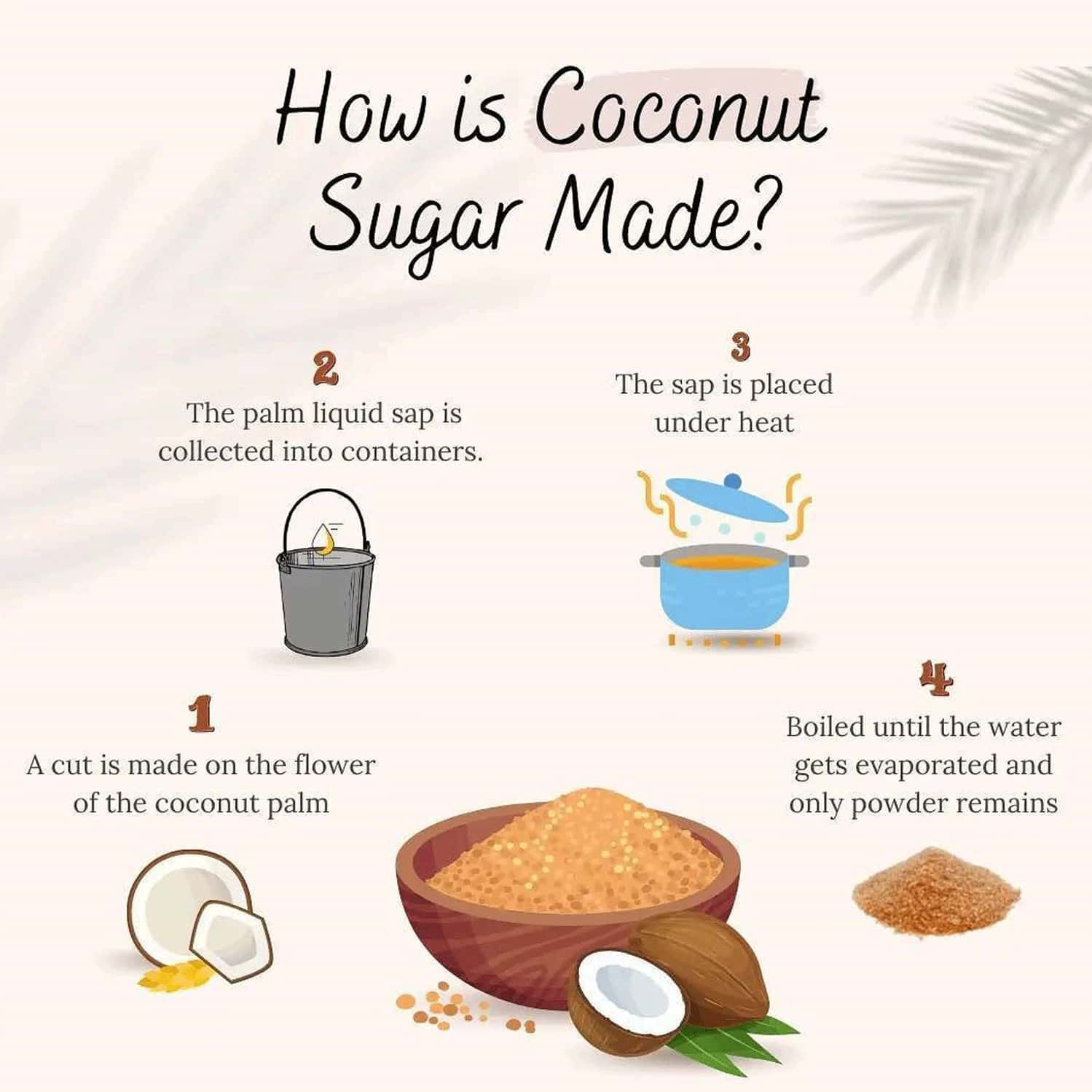 Buy PRAAKRITIK ORGANIC COCONUT SUGAR 300 G Online & Get Upto 60% OFF at PharmEasy