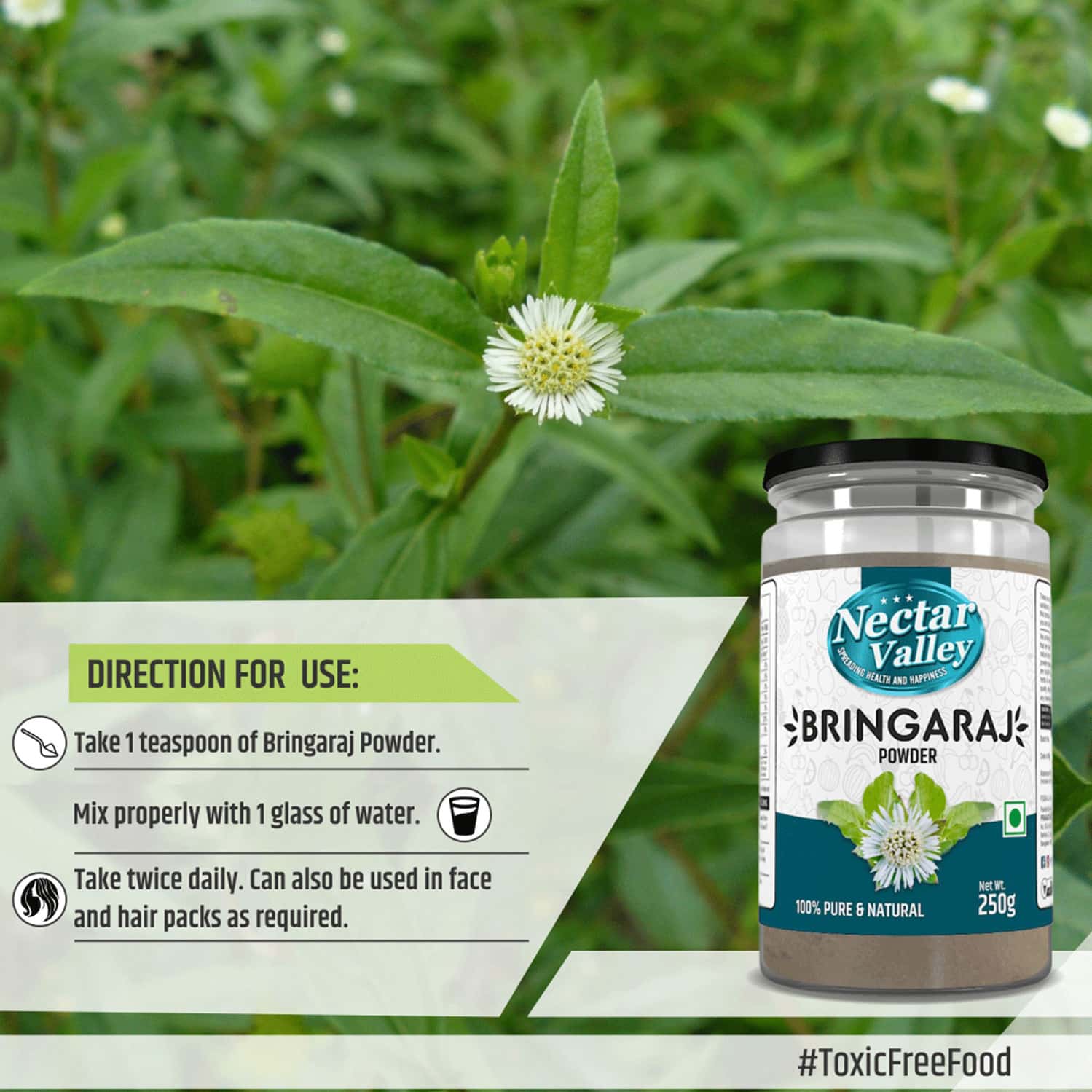 Buy NECTAR VALLEY BHRINGRAJA POWDER (ECLIPTA ALBA) PURE & ORGANICALLY ...