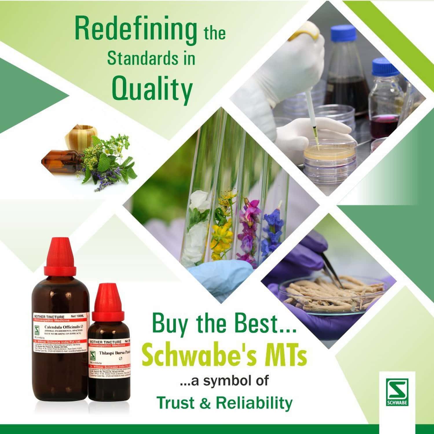 Buy DR.WILLMAR SCHWABE INDIA CARDUUS MARIANUS MOTHER TINCTURE PACK OF 3 ...