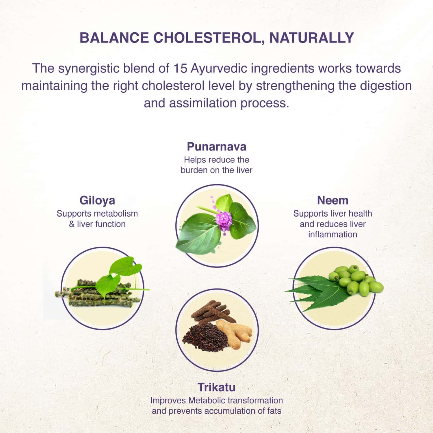 Buy MAHARISHI AYURVEDA LIPOMAP | CHOLESTEROL MANAGEMENT| 40 TABLETS ...