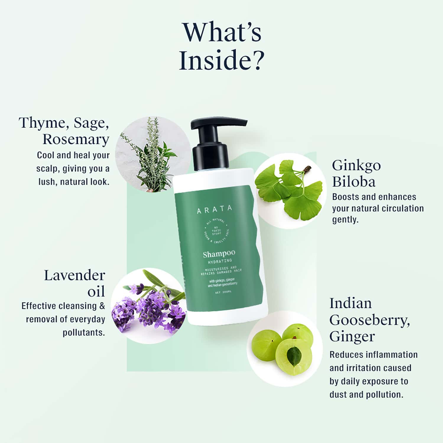 Buy ARATA NATURAL HYDRATING HAIR SHAMPOO WITH GINKGO GINGER & INDIAN ...