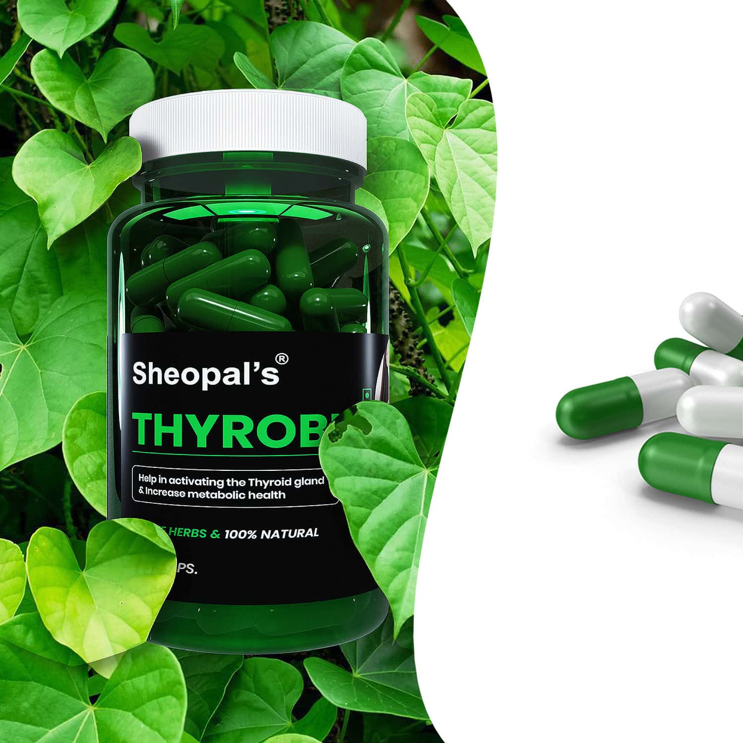 Buy SHEOPALS THYROBIC CAPSULES FOR MAINTAIN METABOLISM AND HELP IN ...