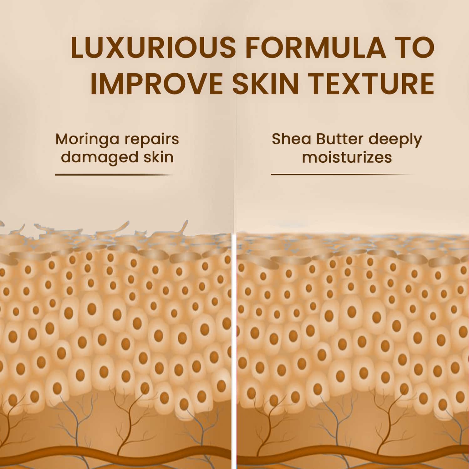 Buy THE SKIN STORY MORINGA FACE MASSAGE CREAM, 50G Online & Get Upto 60 ...