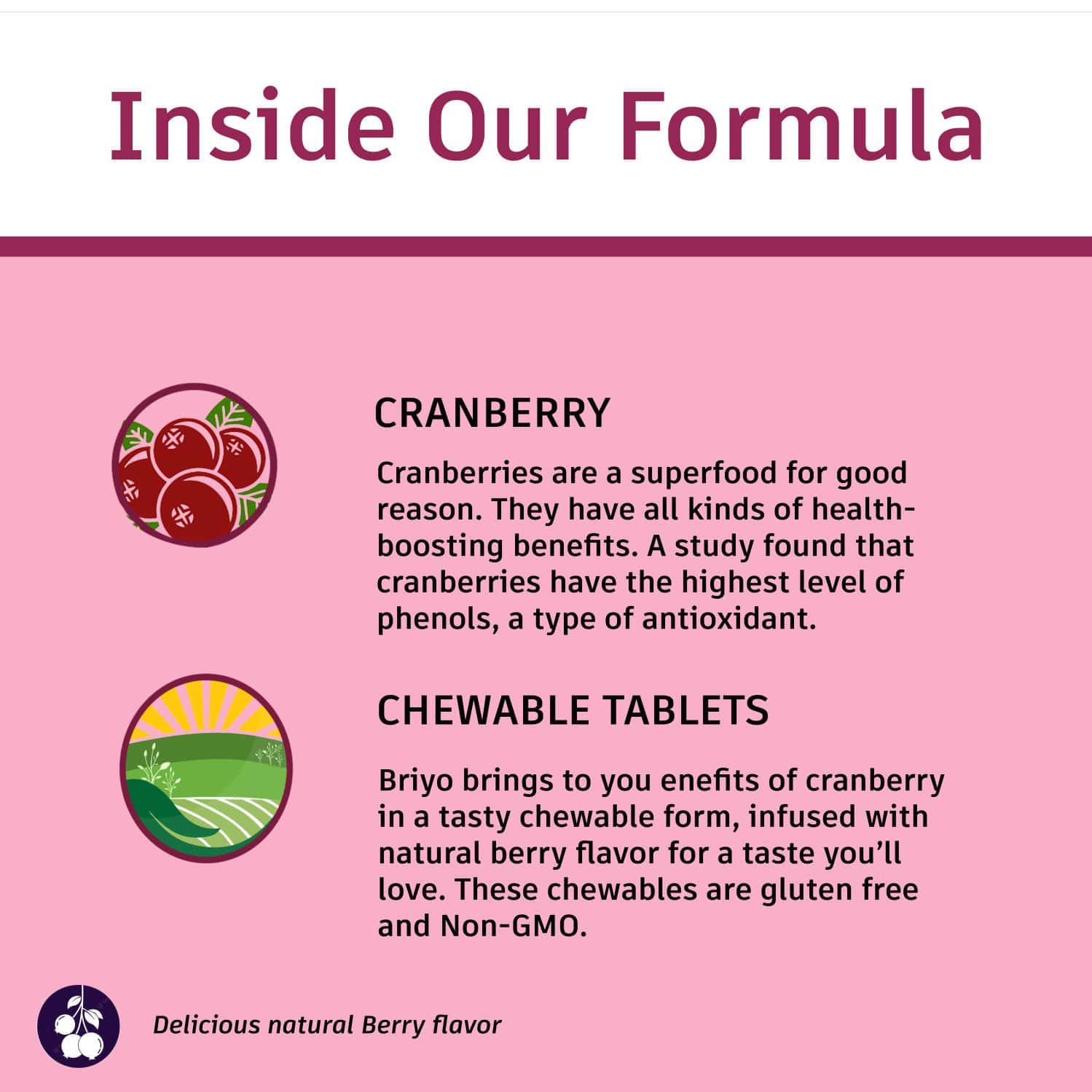 Buy BRIYO CRANBERRY CONCENTRATE CHEWABLE TABLETS - NATURAL BERRY FLAVOR ...