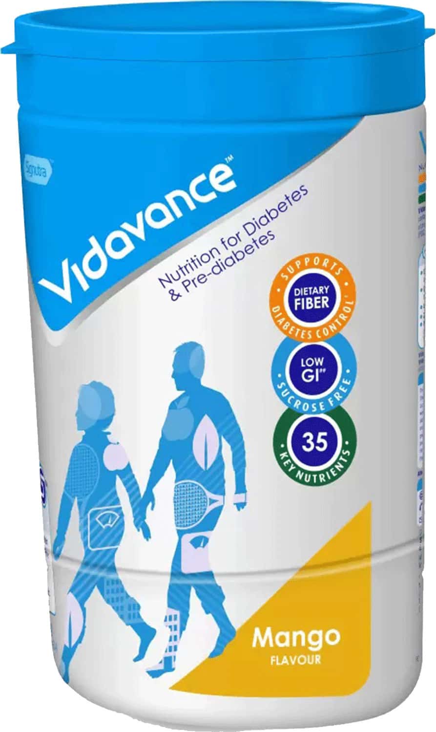 Buy VIDAVANCE ADVANCED NUTRITION FOR DIABETES AND PRE-DIABETES - 400G ...