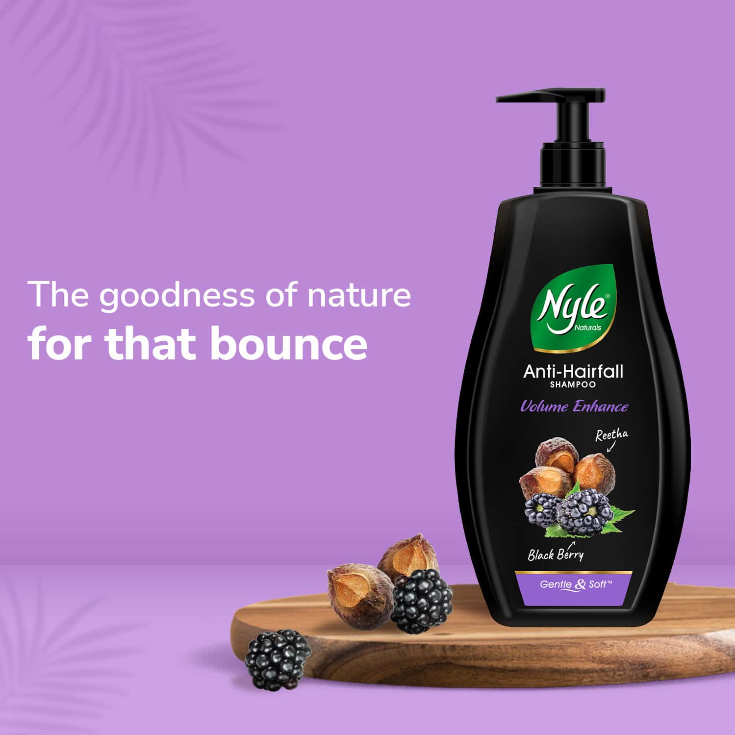 Buy NYLE NATURALS VOLUME ENHANCE ANTI HAIRFALL SHAMPOO, WITH REETHA AND ...