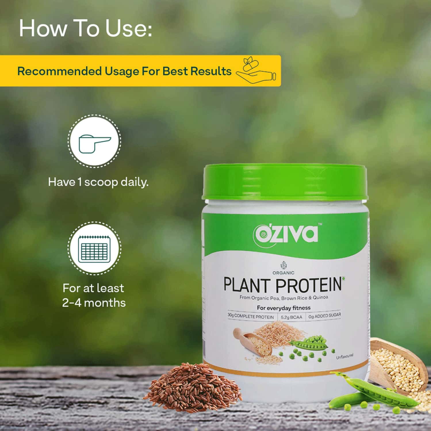 Buy OZIVA ORGANIC PLANT PROTEIN FOR WOMEN & MEN, 1KG, + FREE SHAKER ...