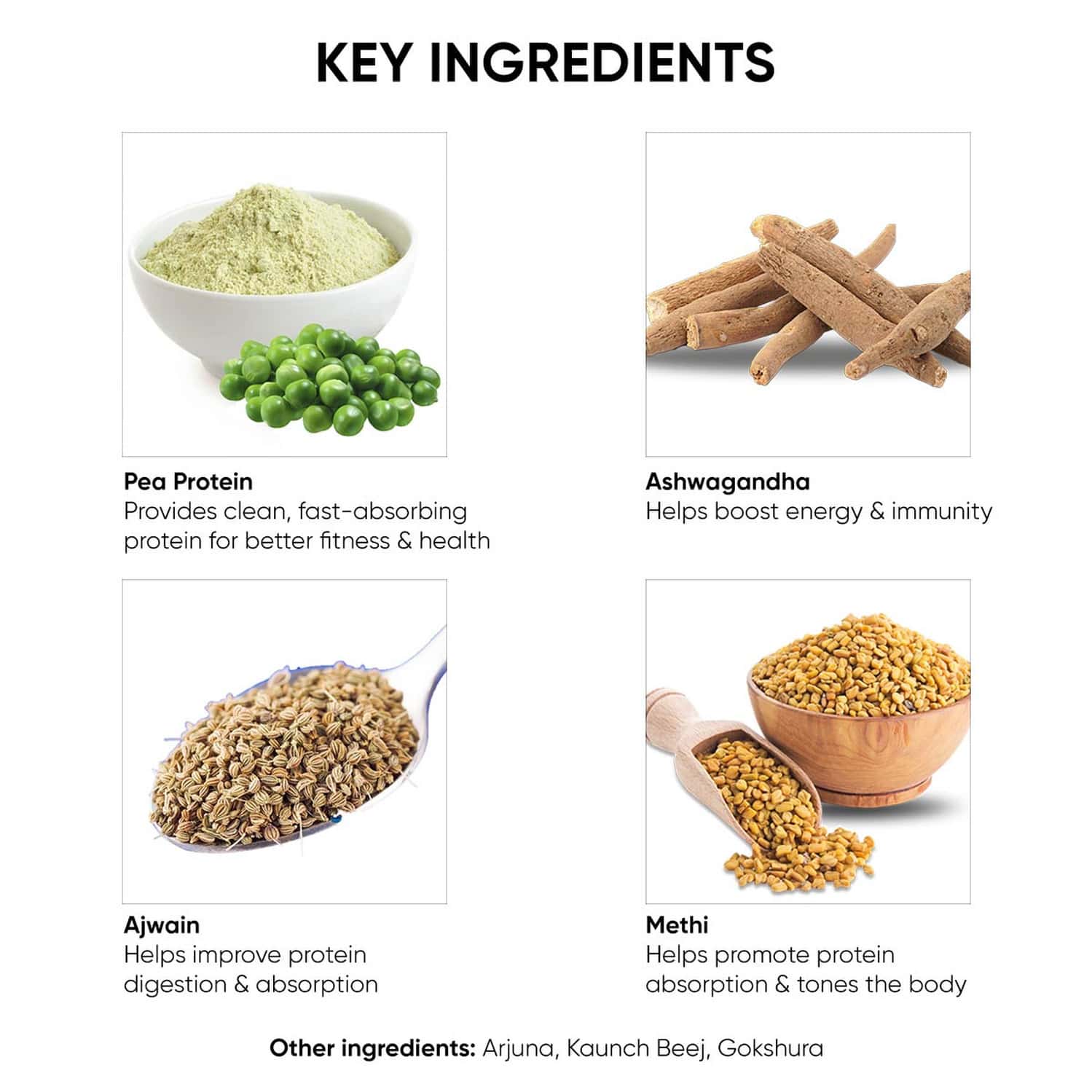 Buy DR. VAIDYA'S PLANT PROTEIN - CHOCOLATE 500GM PACK OF 3 Online & Get ...