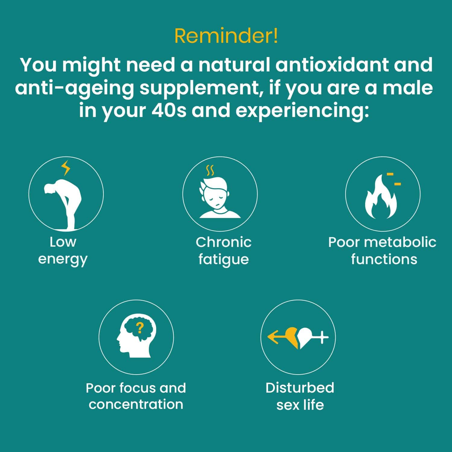 Buy FORTYFITT TABLET OPTIMAL HEALTH SUPPLEMENT FOR AGING 30TABLETS(PACK ...